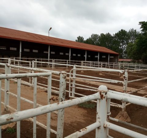 ARC Animal Production. - Colleges Portal